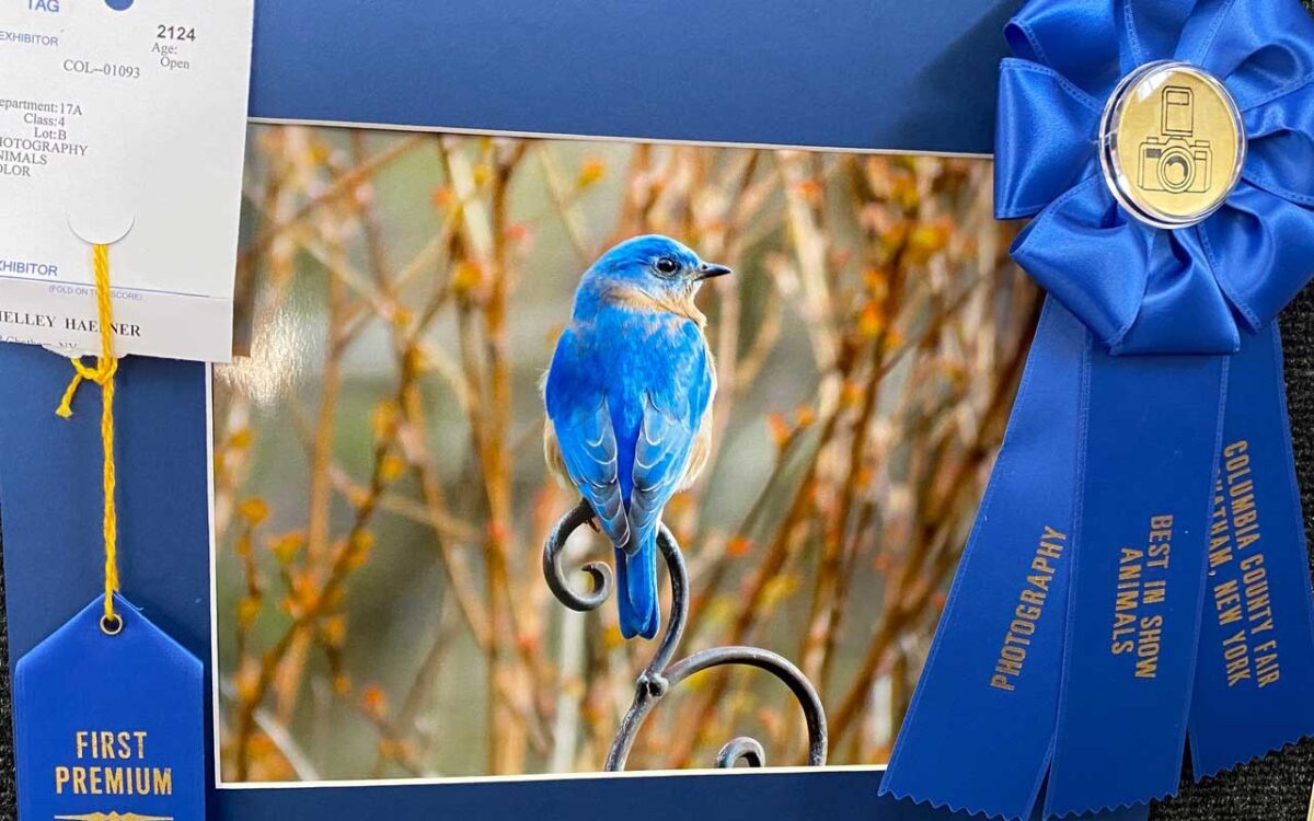 Competitions – Columbia County Fair